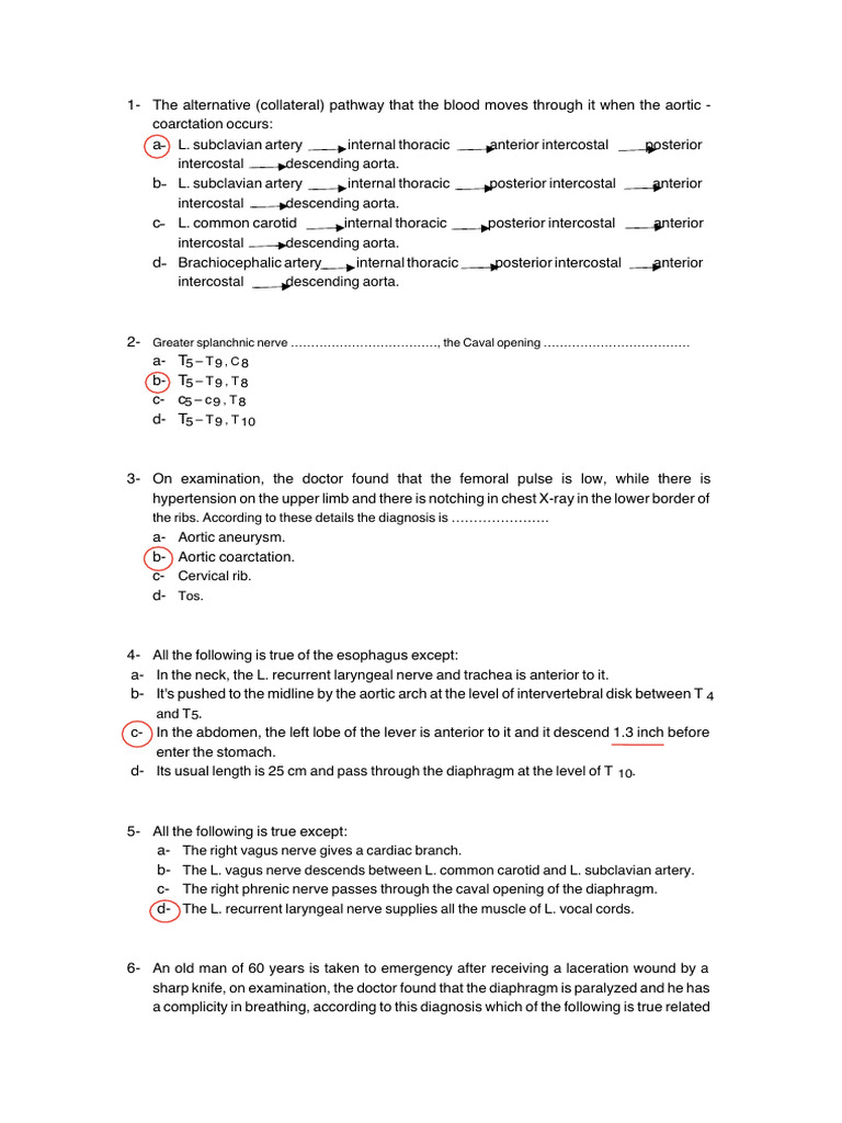 Questions For Anatomy Chapter 8 | PDF | Esophagus | Aorta