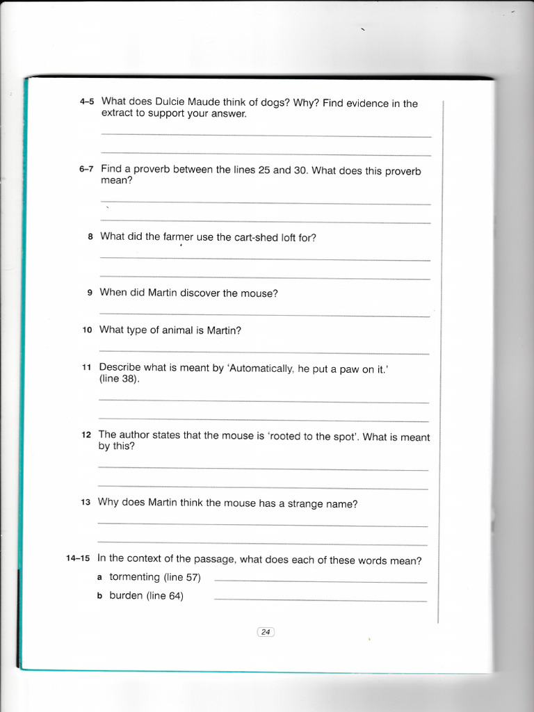Gokul Comprehension Questions | PDF