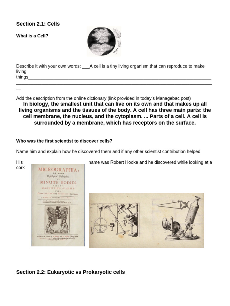 Biology Basics for Students | PDF | Cell (Biology) | Prokaryote