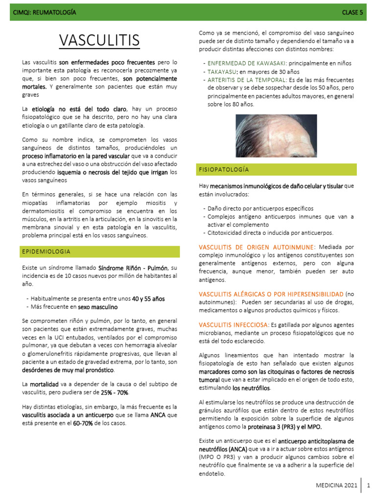 Vasculitis | PDF | Inflamación | Especialidades Medicas