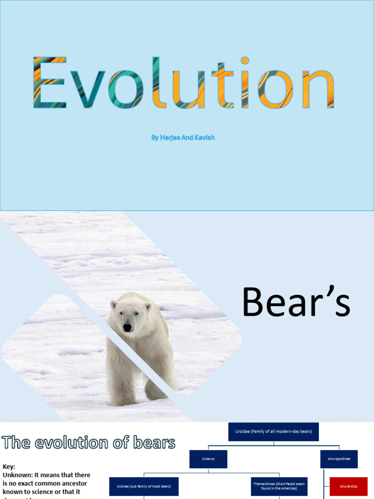 Evolution Power point-compressed | PDF | Bears | Zoology
