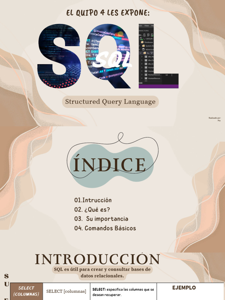 Presentación Diapositivas Propuesta Proyecto Orgánico Marrón y Beige | PDF | SQL | Bases de datos