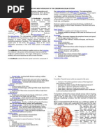 CVA: Bleed vs. Infarct Overview | PDF | Stroke | Medical Specialties