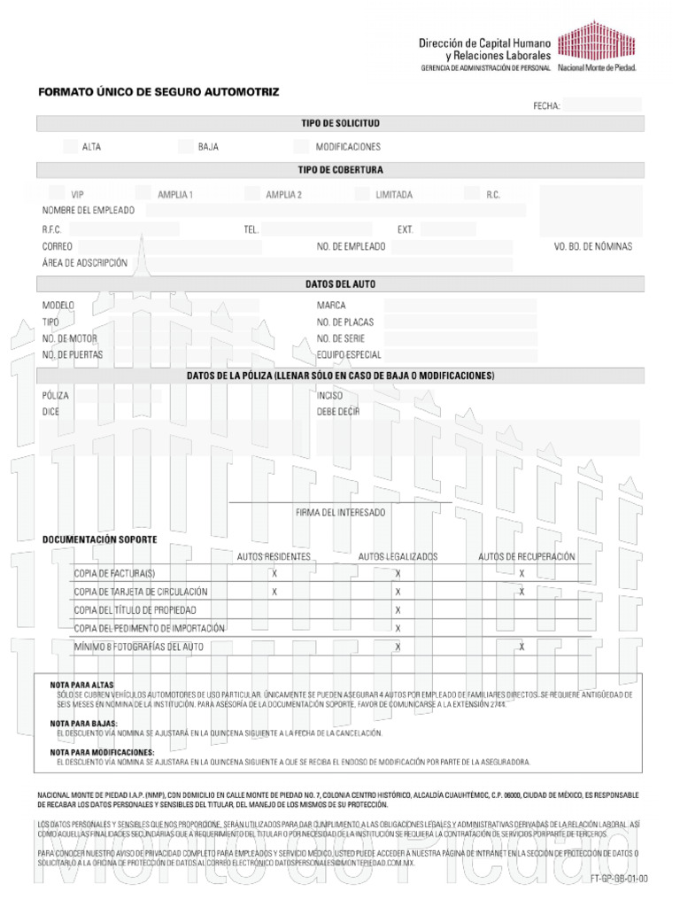 Formato Unico Seguro de Autos NMP | PDF