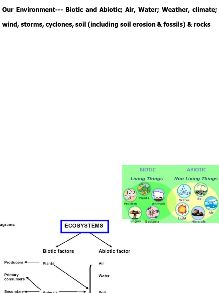 HBBVC-Lecture-2 | PDF