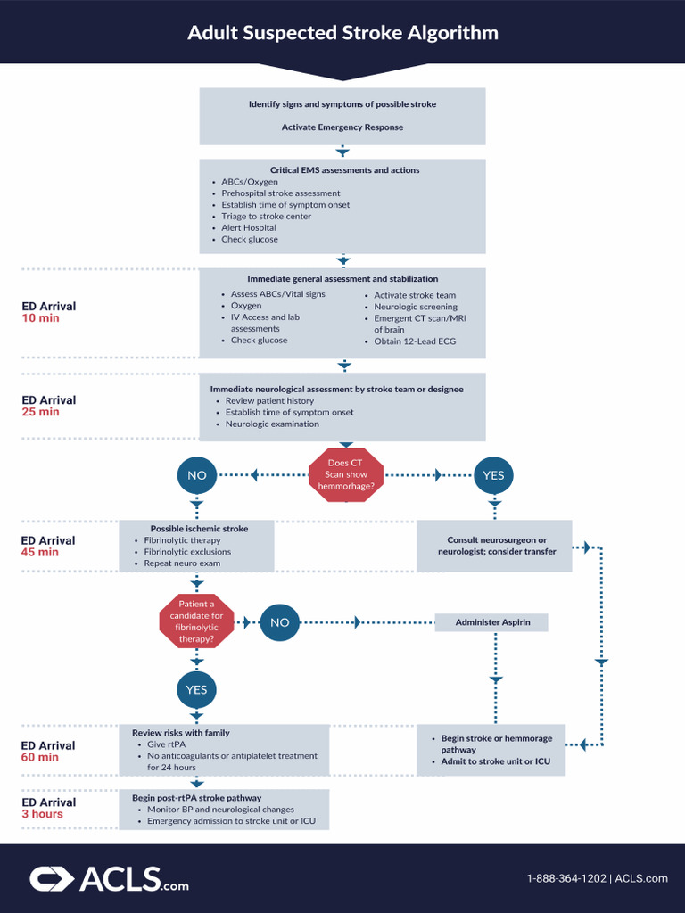 Adult Suspected Stroke Algorithm | PDF