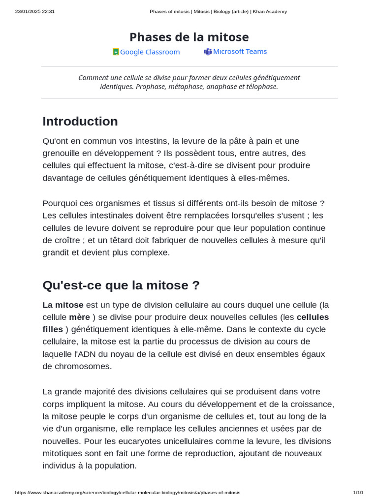 Phases de la mitose expliquées | PDF | Cellule (Biologie) | Mitose