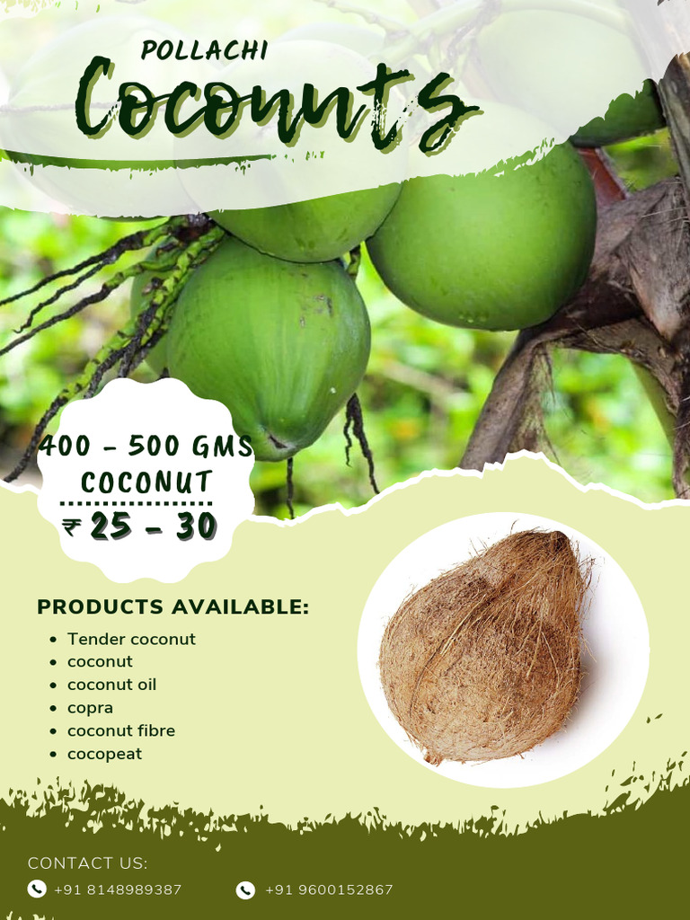 Coconut 2 | PDF