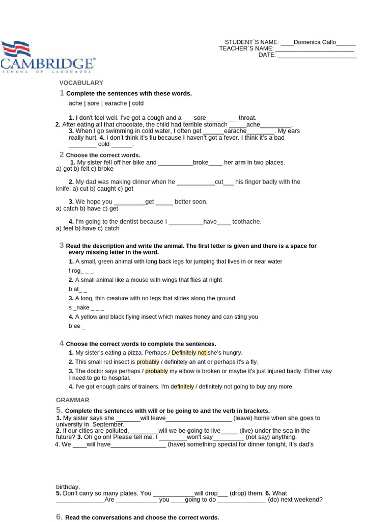 Preparation Level 4 Progress Test 6 Pdf