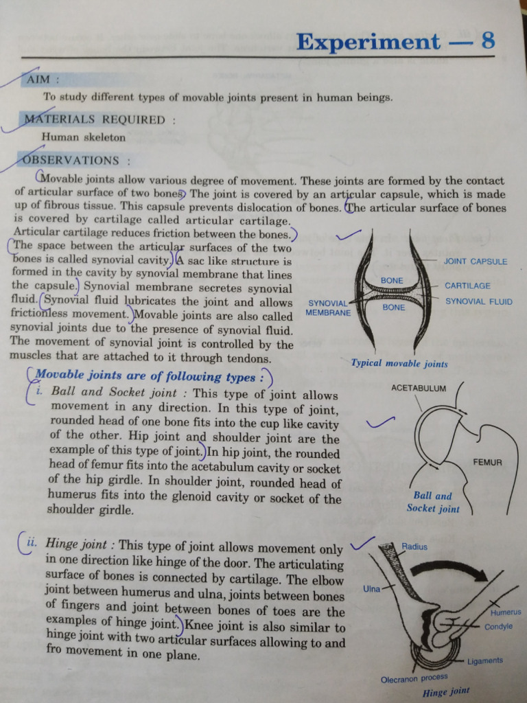 std 9 expt 8 | PDF | Musculoskeletal System | Joints