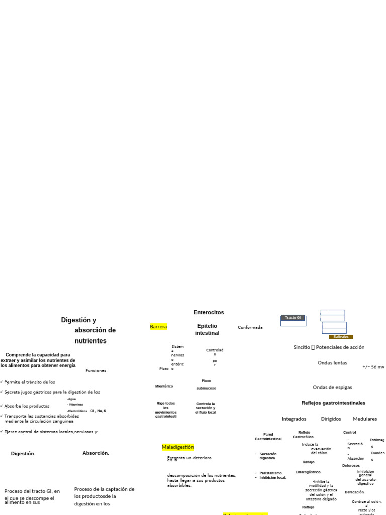 Mapa Conceptual Dige 105283 Downloadable 6895928 | PDF | Digestión ...