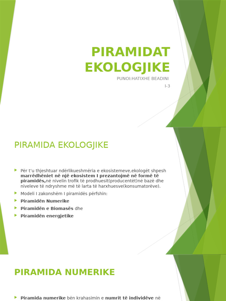 Piramidat Ekologjike | PDF