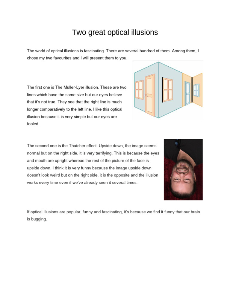 Optical Illusions | PDF