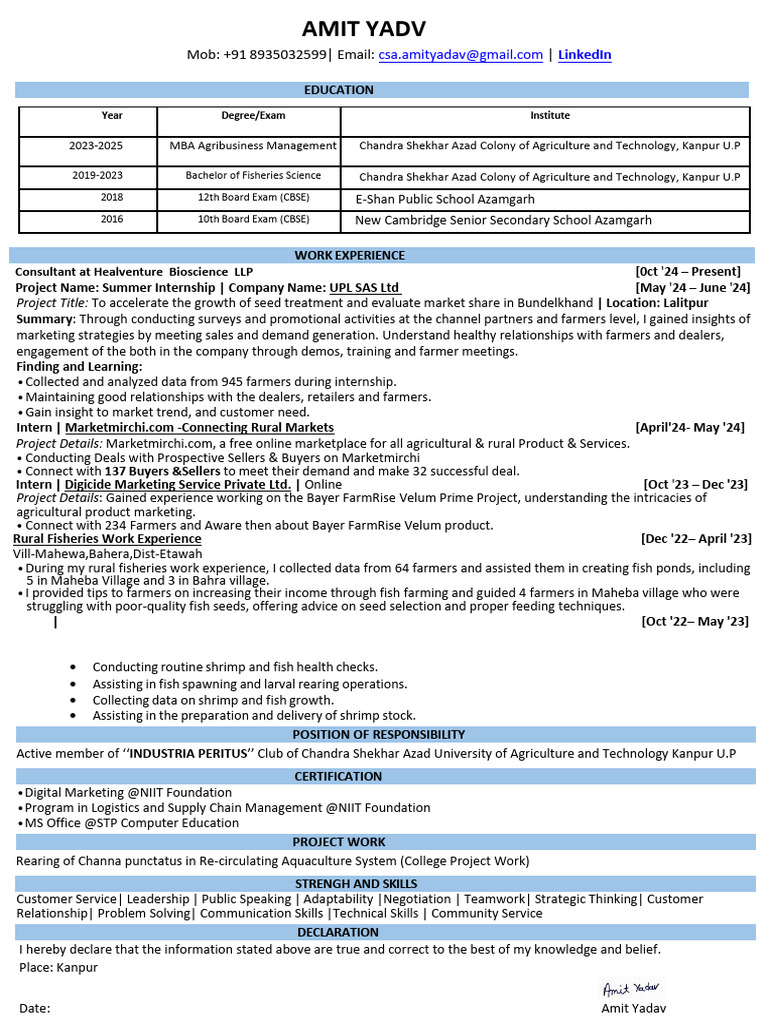 AMIT resume-1-1 | PDF