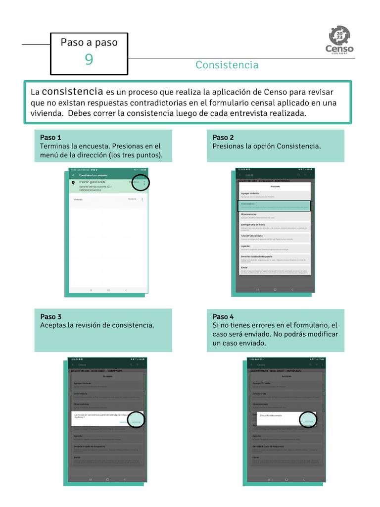 Paso A Paso 9 Censo - Consistencia | PDF