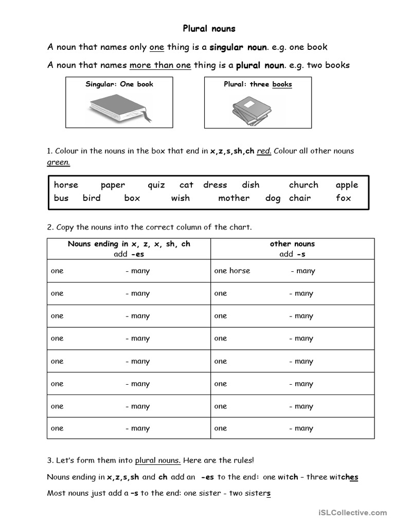 Introduction To Plural Nouns | PDF