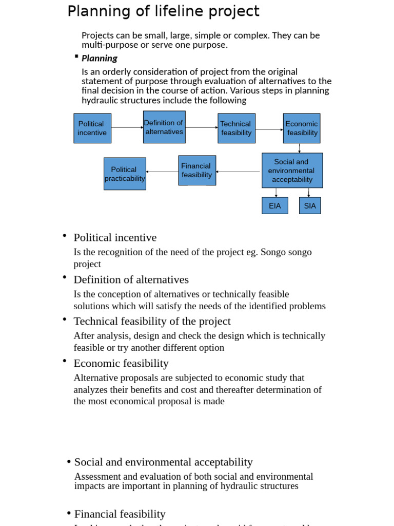 Planning of Lifeline Project | PDF | Feasibility Study | Environmental ...
