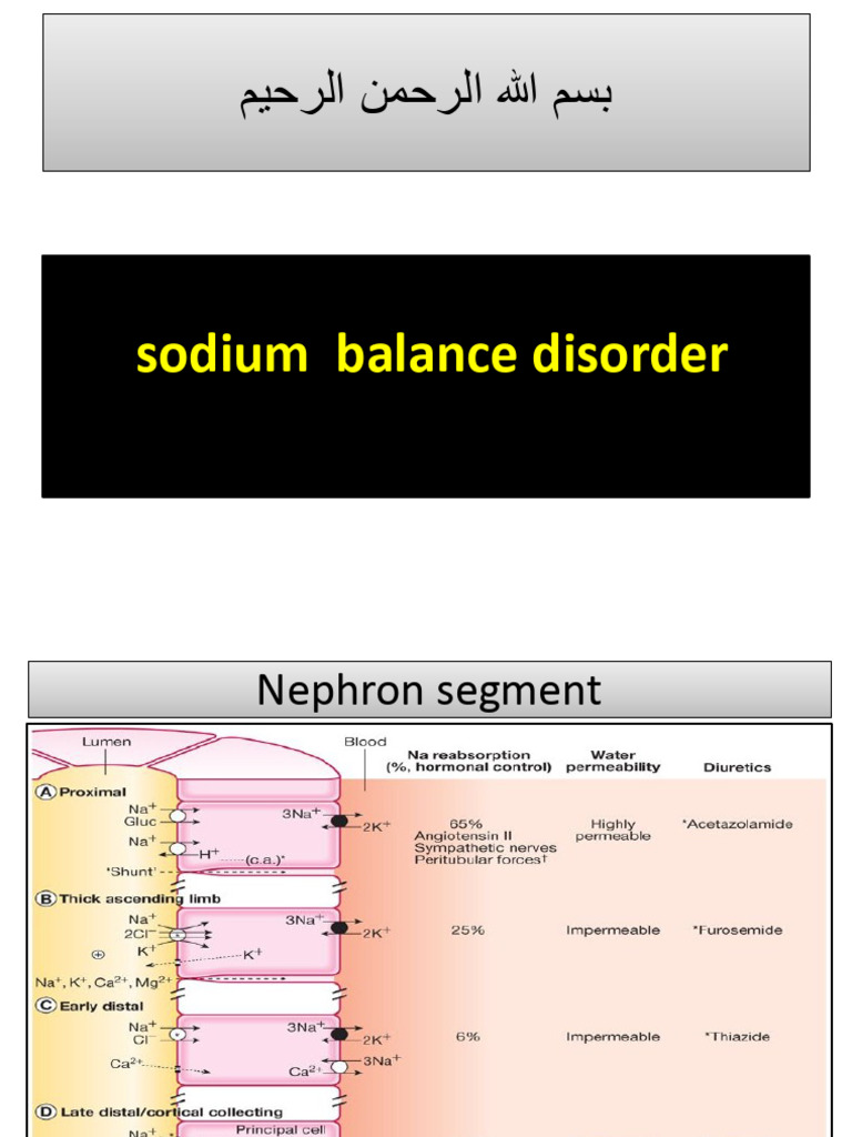 Sodium Balance Disorder 3 | PDF | Angiotensin | Kidney