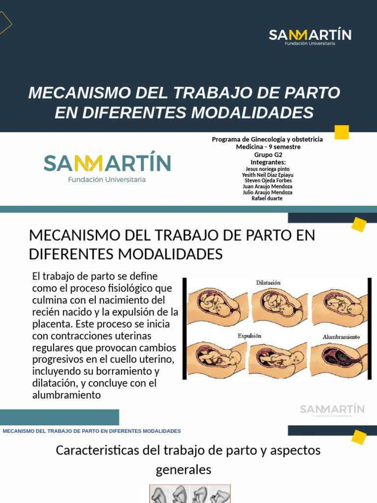 Mecanismo Del Trabajo de Parto en Diferentes Modalidades | PDF | Parto ...