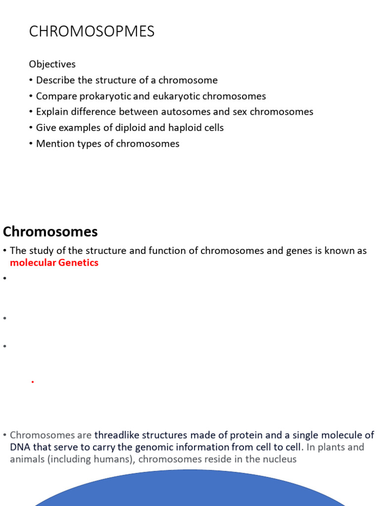 Chromosomes LN (1) PDF Version | PDF | Chromosome | Ploidy