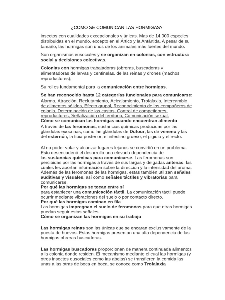 Como Se Comunican Las Hormigas | PDF