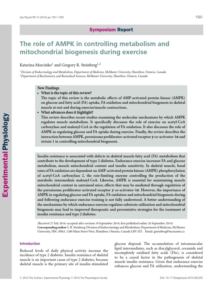 Experimental Physiology - 2014 - Marcinko - The Role of AMPK in ...