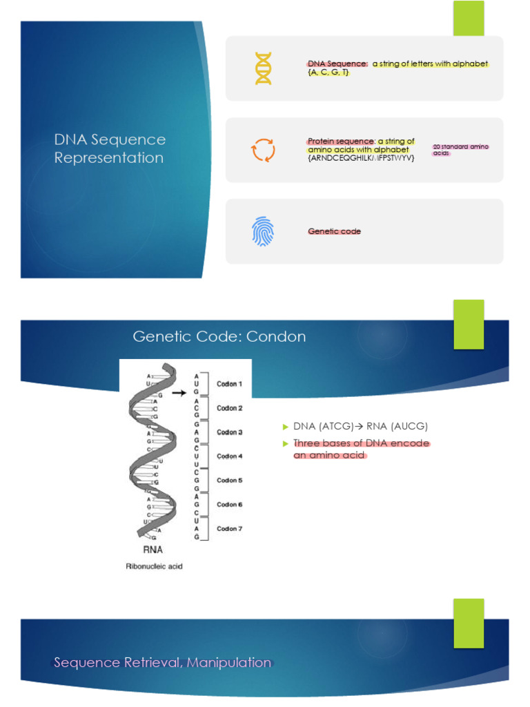 Genomics and Similarity Search | PDF | Nucleic Acid Sequence | Sequence Alignment
