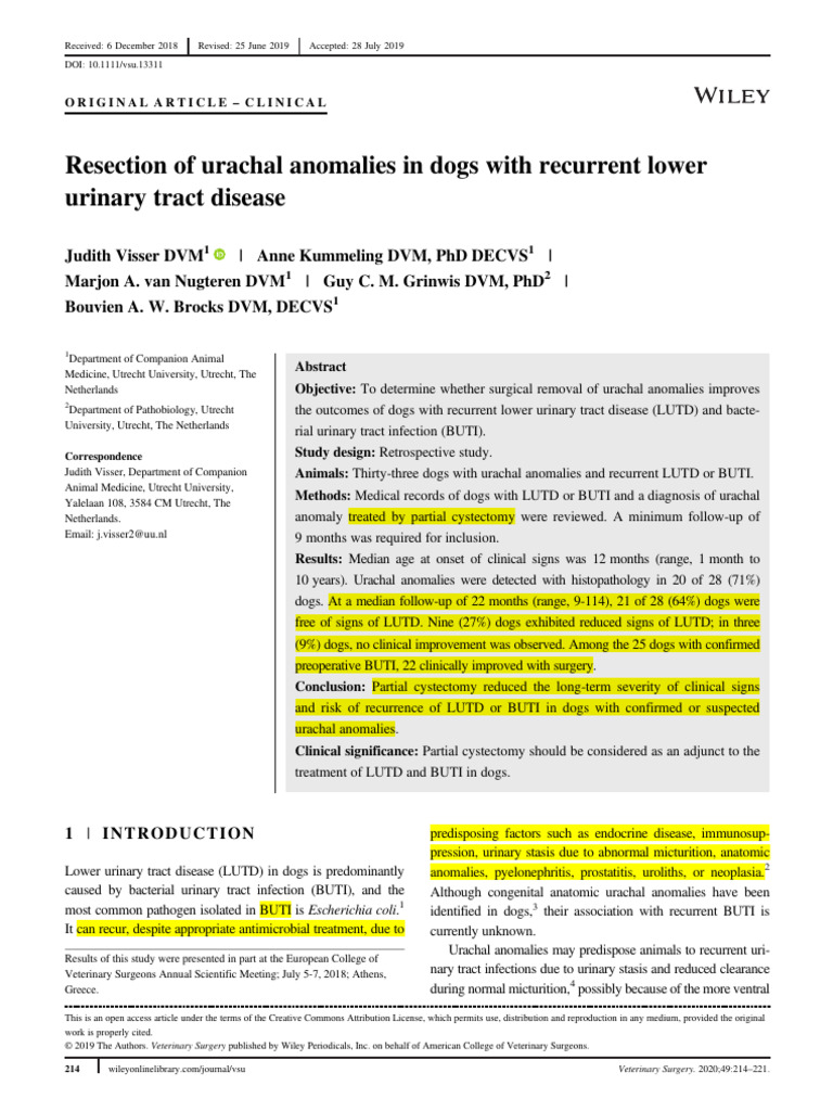 Urachal Anomalies in Dogs | PDF | Surgery | Urinary Tract Infection