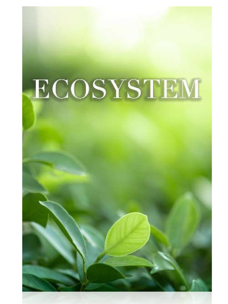 zoo-SEM-5 - ECOSYSTEM-CC5-11-TH UNIT-4 | PDF | Food Web | Ecosystem