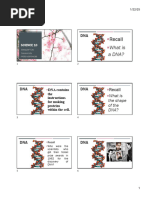 Protein Synthesis Worksheet | PDF