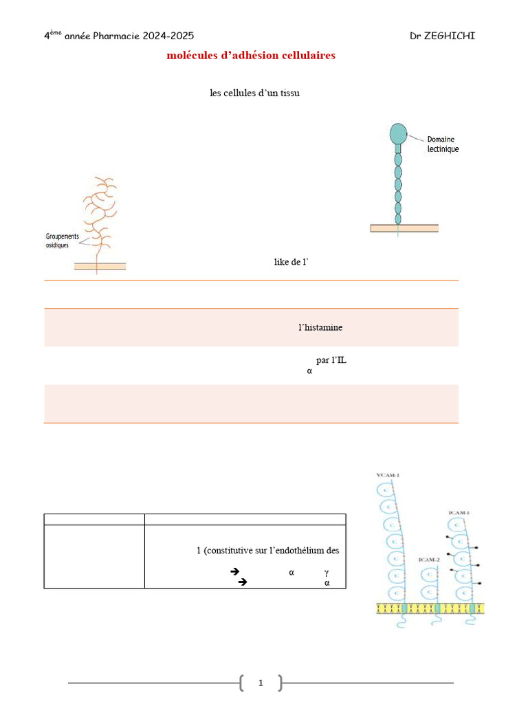 Molécules d'adhésion cellulaires en immunologie | PDF | Inflammation ...