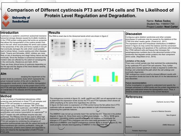 Nabaa Sadeq's Project Poster | PDF | Biochemistry | Chemistry