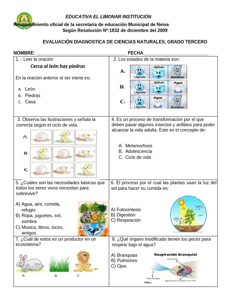 Evaluación de Ciencias Naturales 3° Grado | PDF
