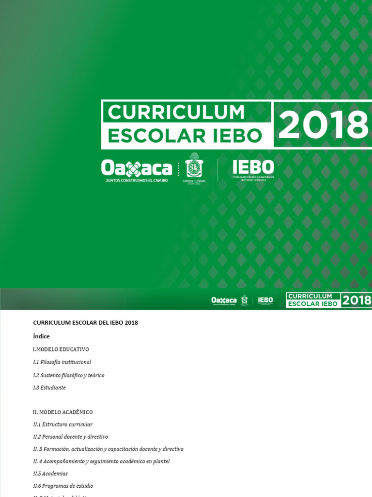 Curriculum IEBO 2018 | PDF | Plan de estudios | Aprendizaje