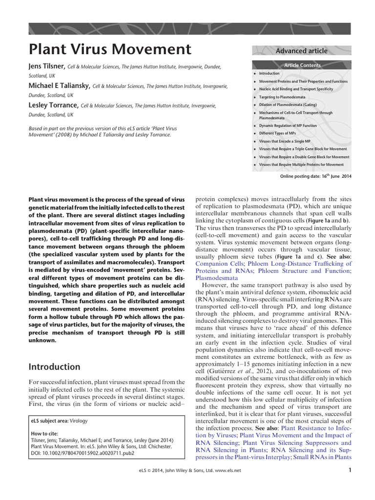 Plant virus movement | PDF | Virus | Plant Virus