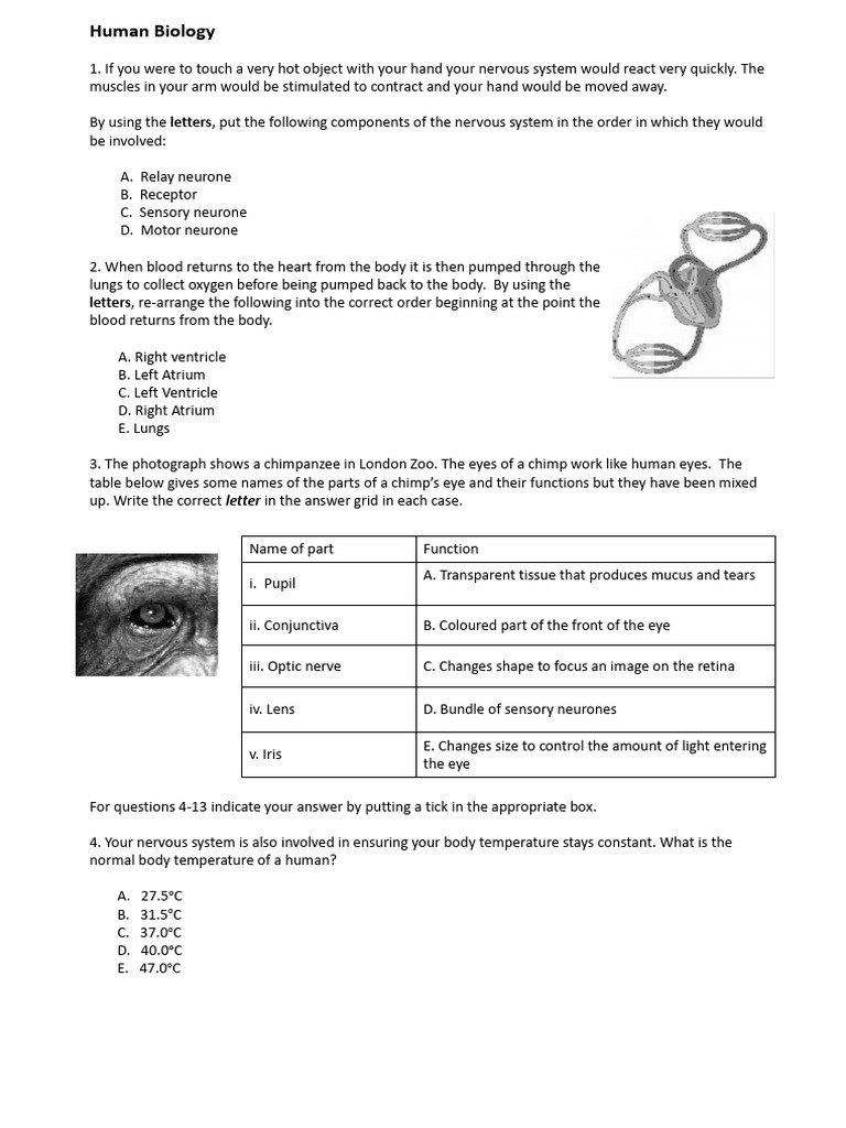 Sample_paper_2_Q | PDF | Gene | Mutation