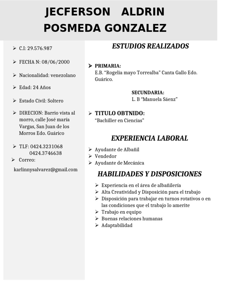 Curriculum Miguel | PDF