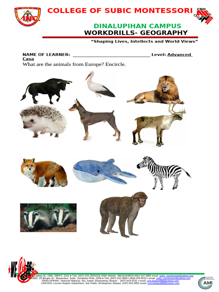 AC-GEO Worksheets - 3rd Quarter | PDF