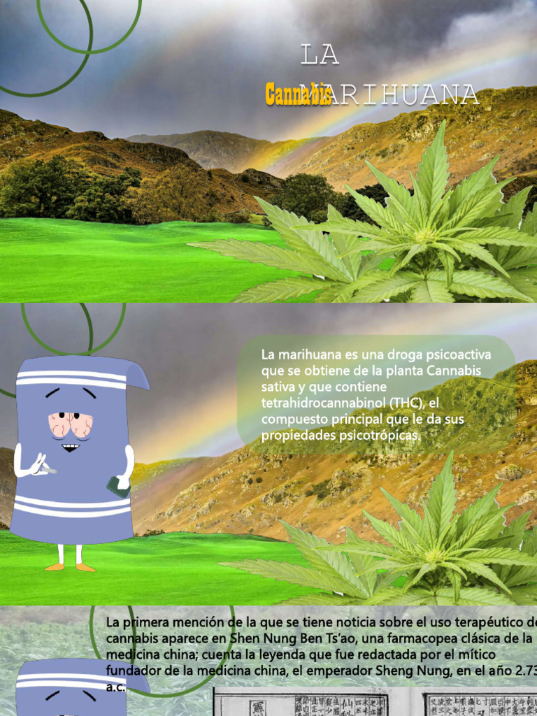 Exposición Perrona de Maria Juana | PDF | Cannabis (Droga ...