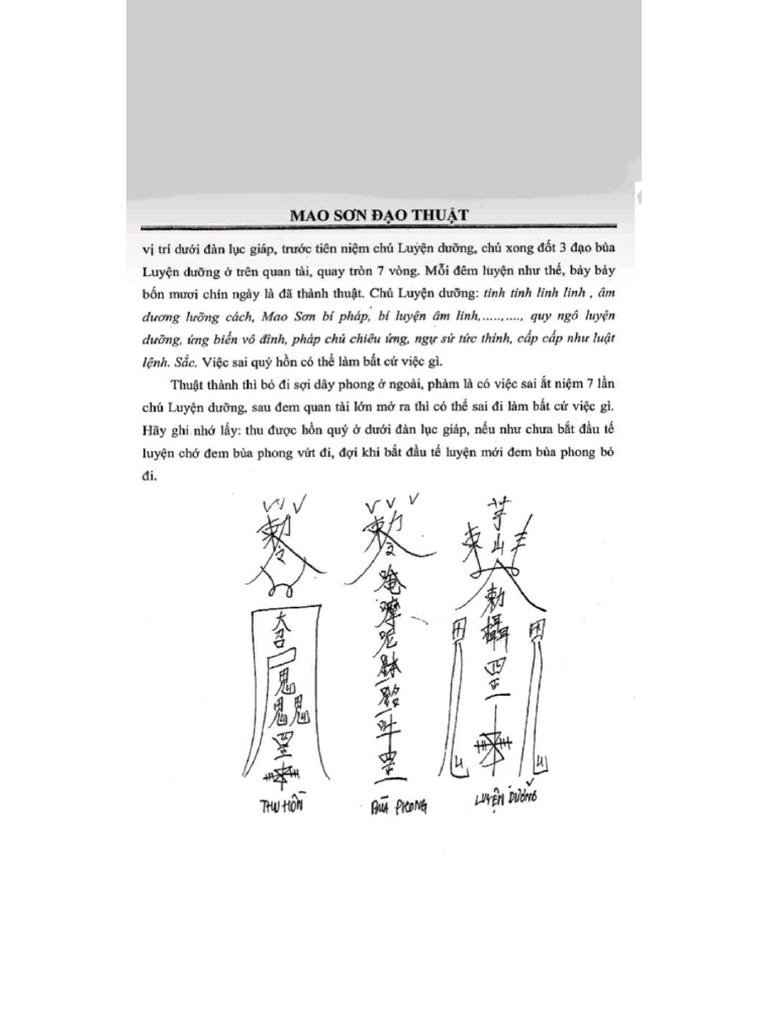 Mao Son Dao Thuat | PDF