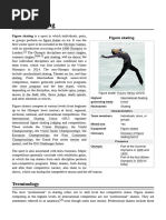Physics in Ice Skating | PDF | Friction | Force