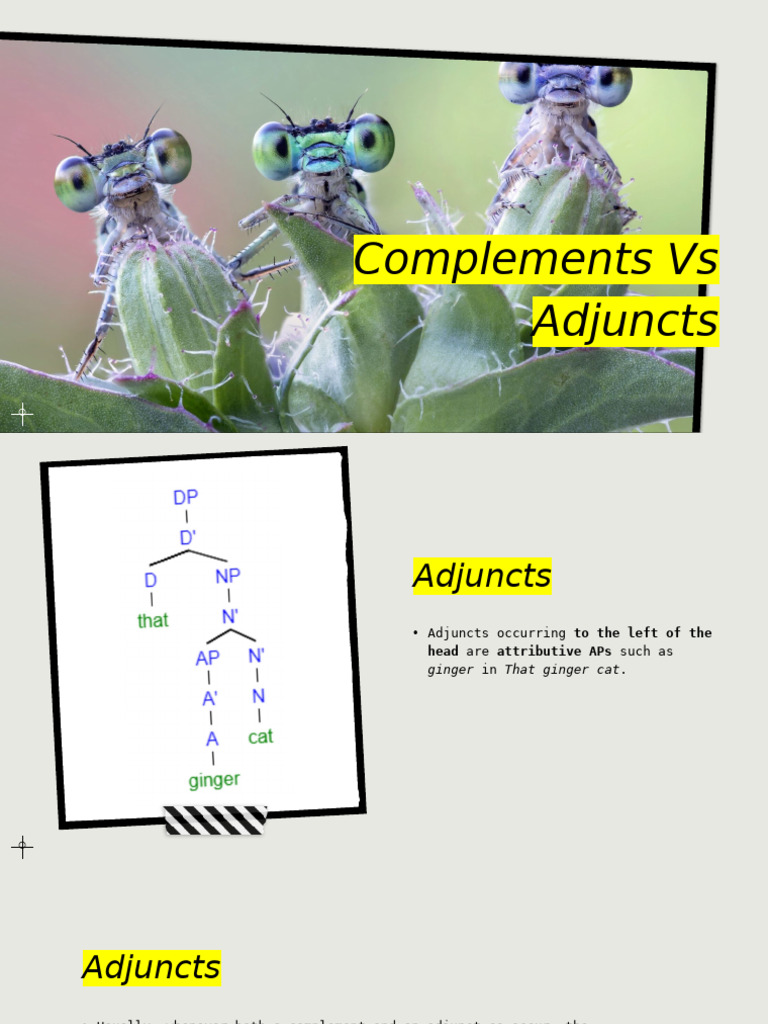 Syntax: Complements vs. Adjuncts | PDF