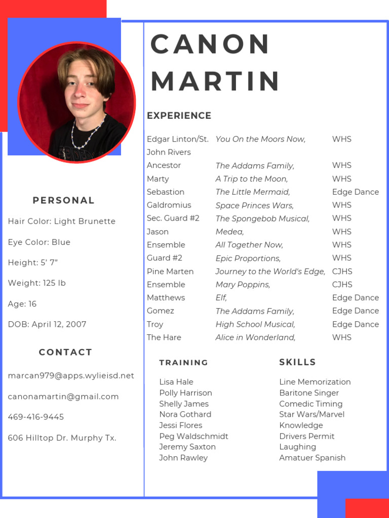 Canon Martin: Experience | PDF