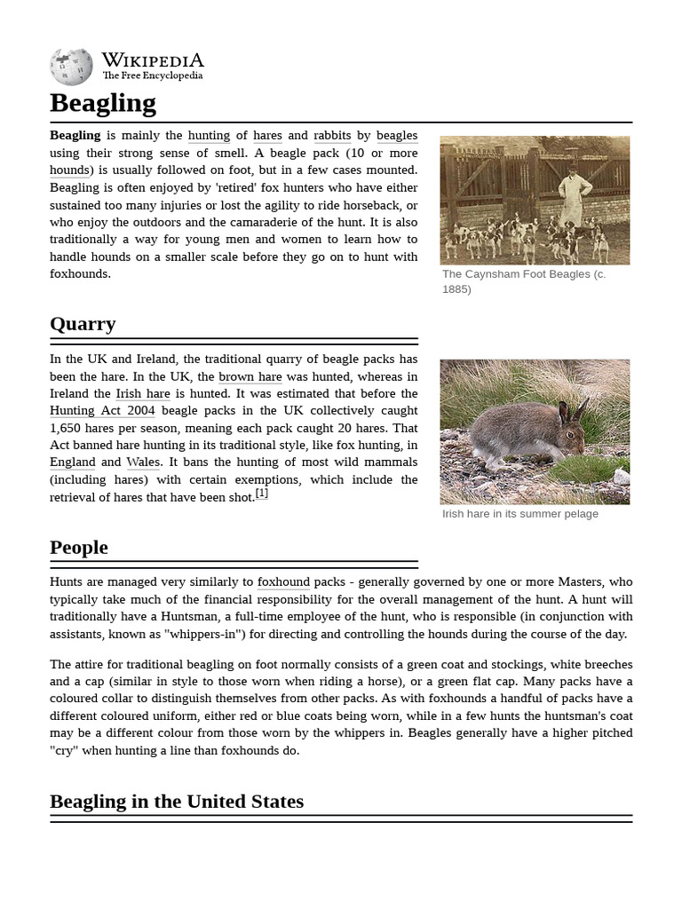 Beagling | PDF | Hunting | Hounds
