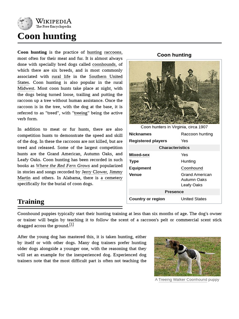 Coon_hunting | PDF | Dogs | Hunting