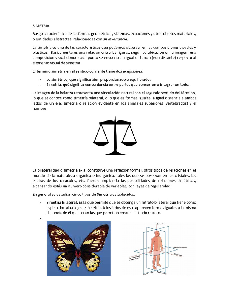Tipos y significados de simetría | PDF | Simetría | Rotación