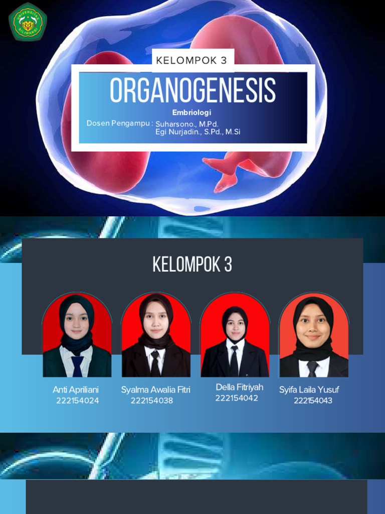 Proses Organogenesis dalam Embriologi | PDF