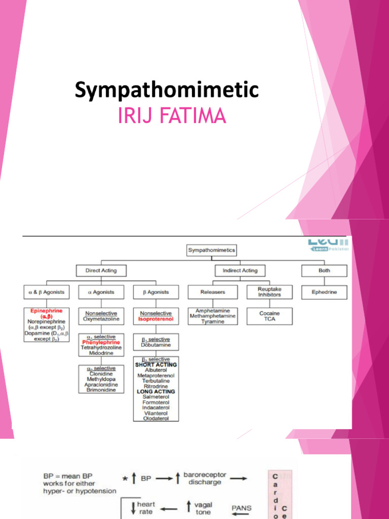 TOPIC 4 Sympathomimetics | PDF