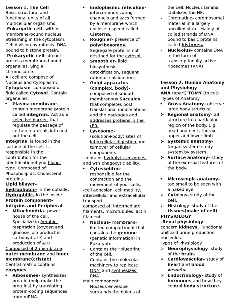 Anaphy lesson 1 note | PDF | Endoplasmic Reticulum | Cell (Biology)