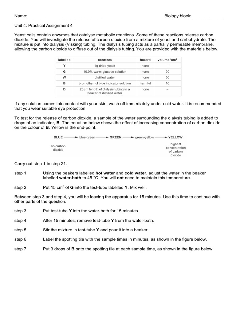 Yeast Carbon Dioxide Production Experiment | PDF | Biology | Carbon Dioxide